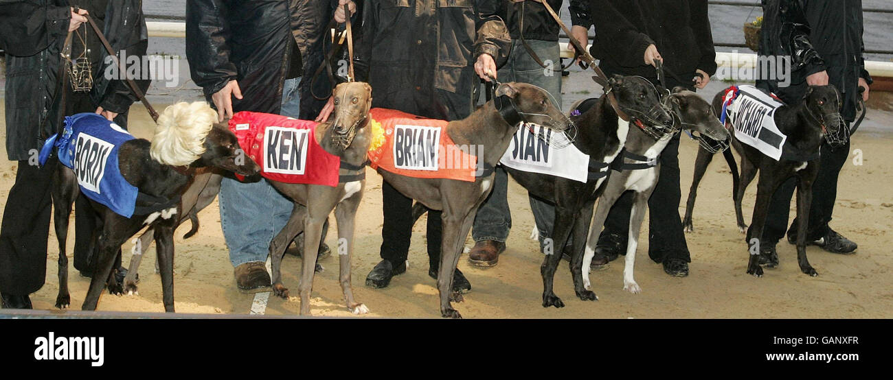 Wimbledon dog track hi-res stock photography and images - Alamy