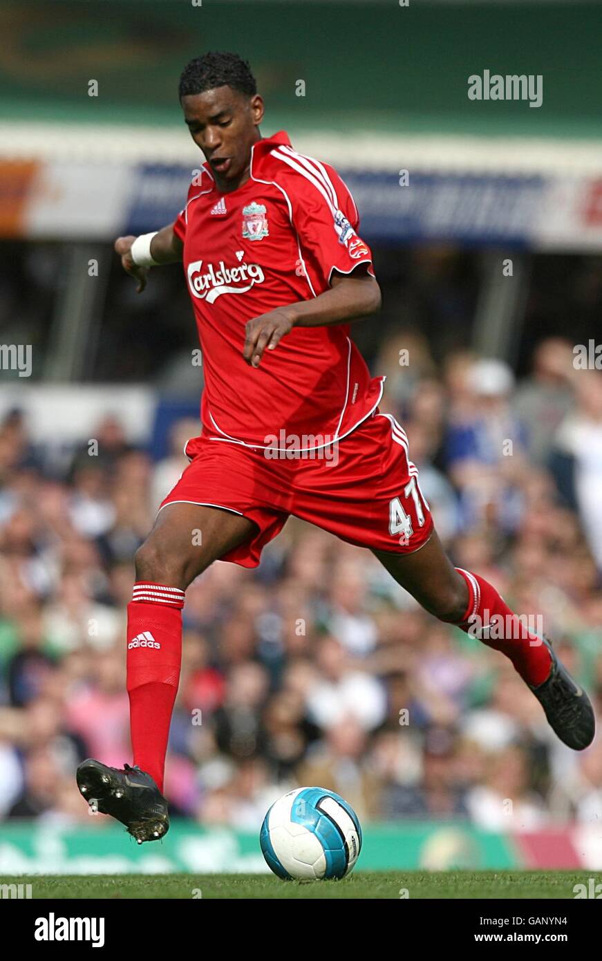 Damien plessis hi-res stock photography and images - Alamy