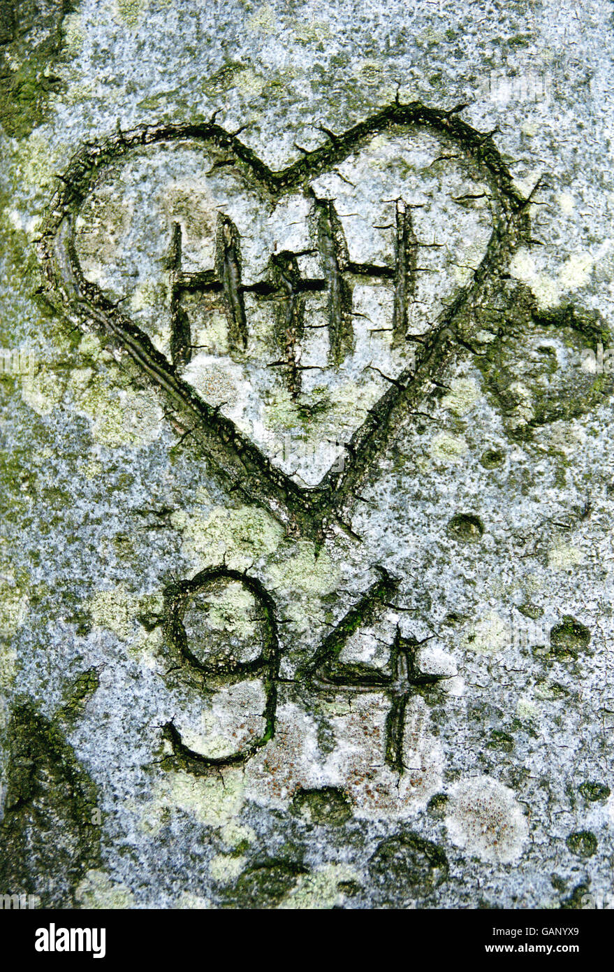 Heart in tree letters hi-res stock photography and images - Alamy