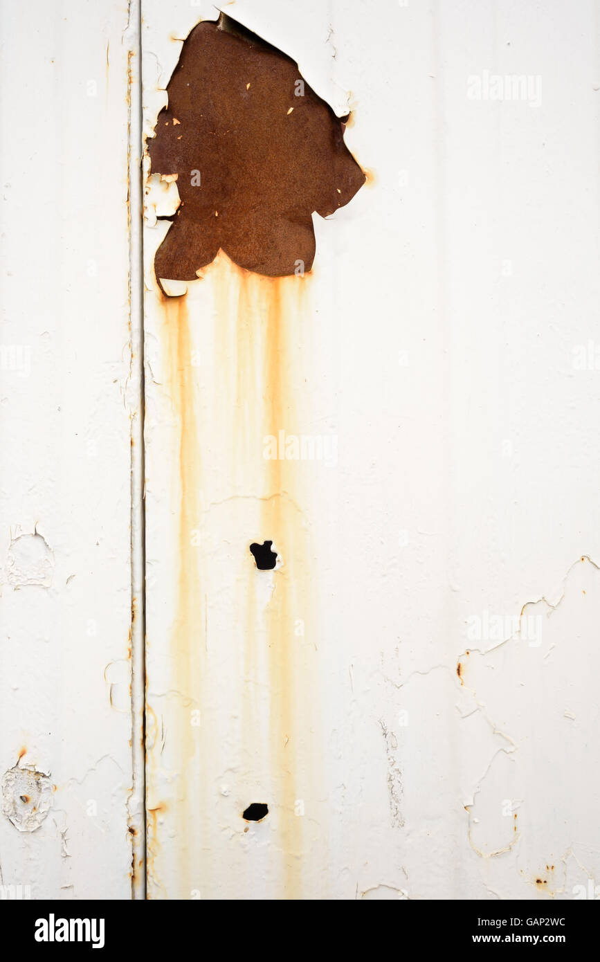 Old rust spot and holes in orange with bleed runs on a white metal ...