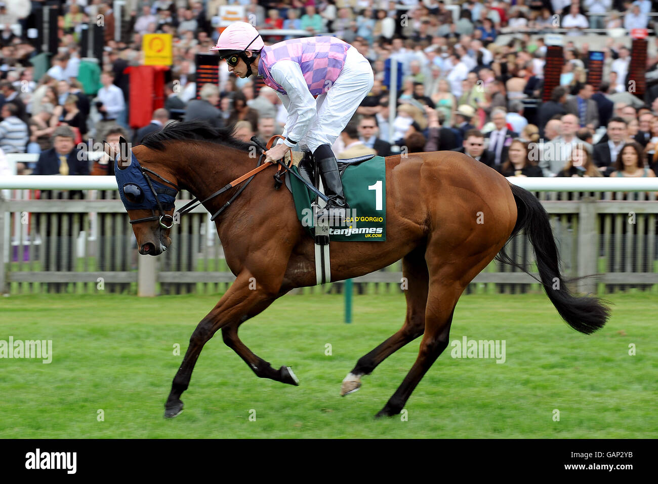 Jockey ted durcan going hi-res stock photography and images - Alamy