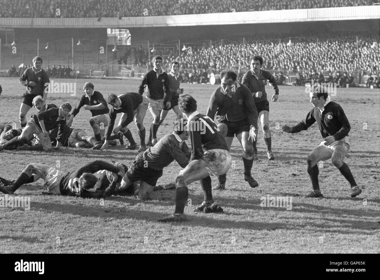 Rugby Union - Five Nations Championship - Wales v Scotland Stock Photo ...
