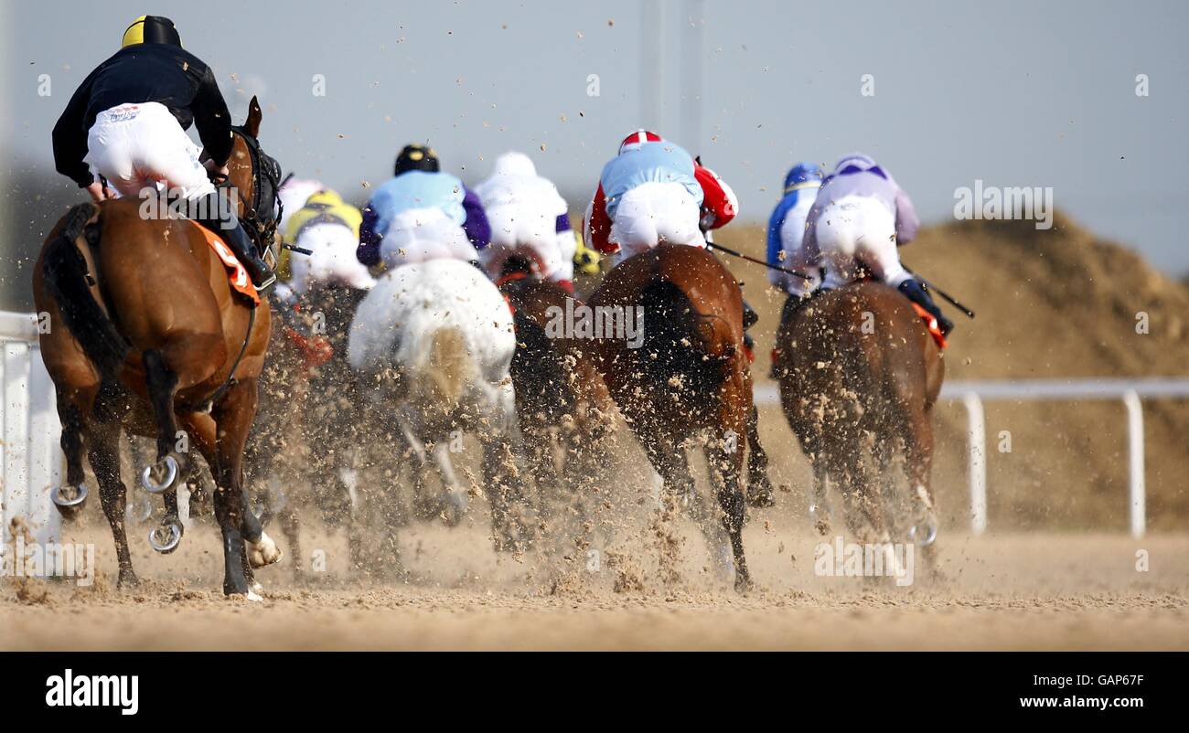 Horse Racing - Invitation Only Day - Great Leighs Racecourse. Runners ...