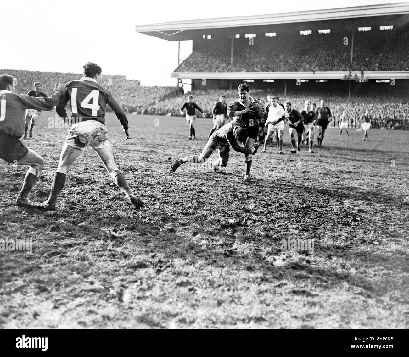 David watkins and wales rugby hi-res stock photography and images - Alamy