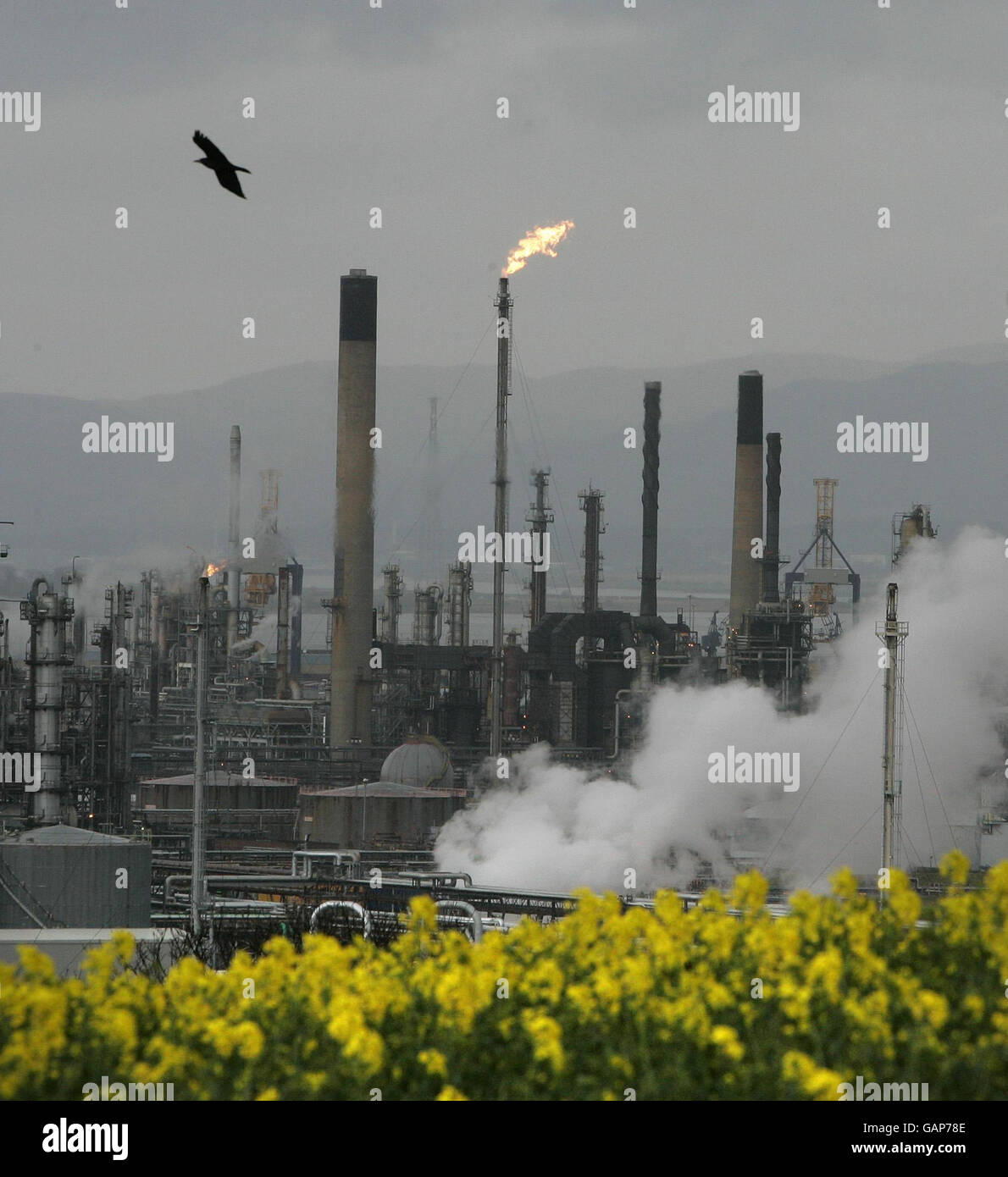 Oil refinery strike Stock Photo - Alamy
