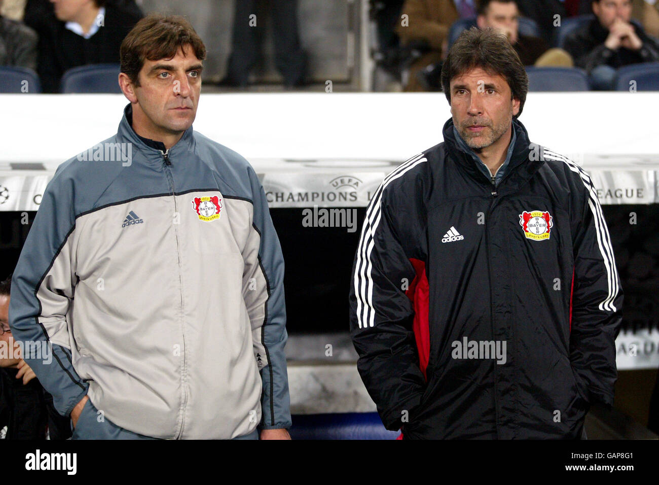 Minge hi-res stock photography and images - Alamy