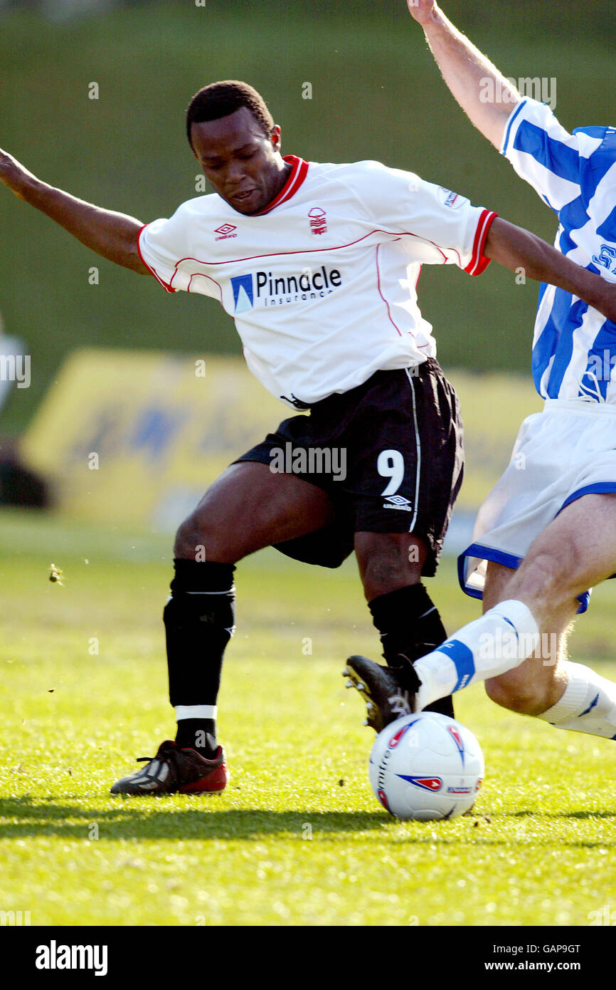 Danny cullip forest hi-res stock photography and images - Alamy