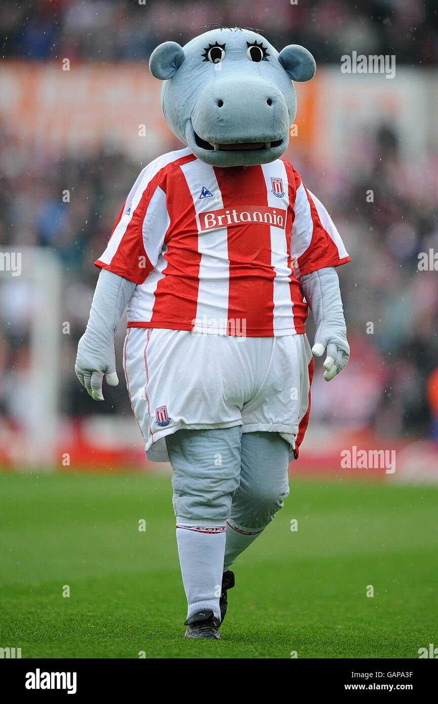 Soccer - Coca-Cola Football Championship - Stoke City v Leicester City ...