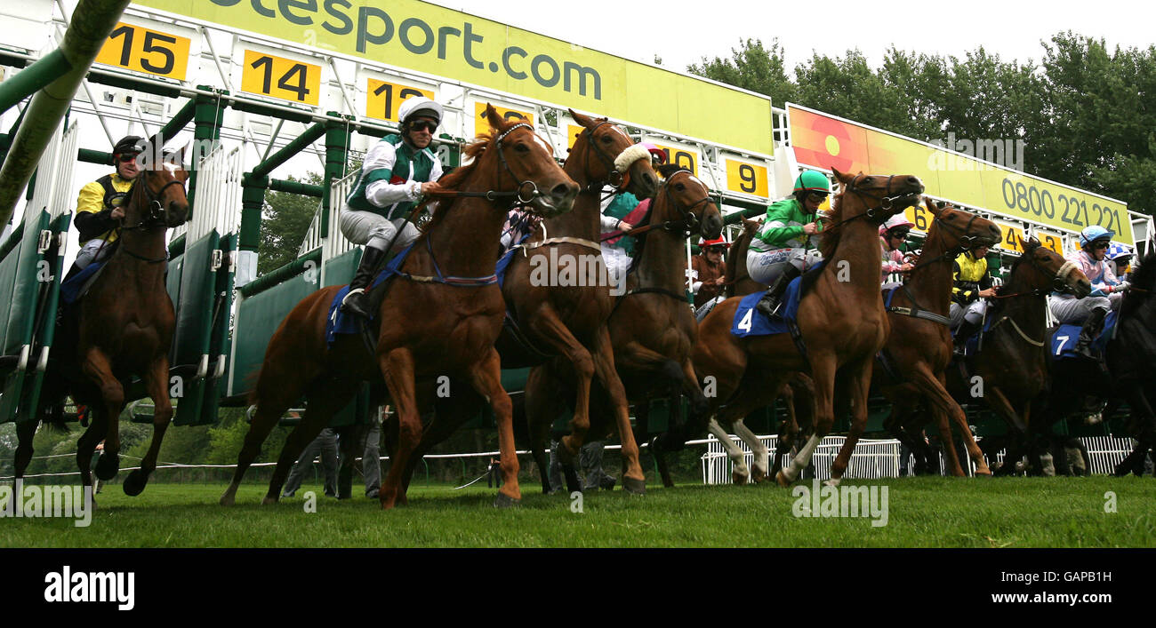 Stalls Nottingham Racecourse High Resolution Stock Photography and ...