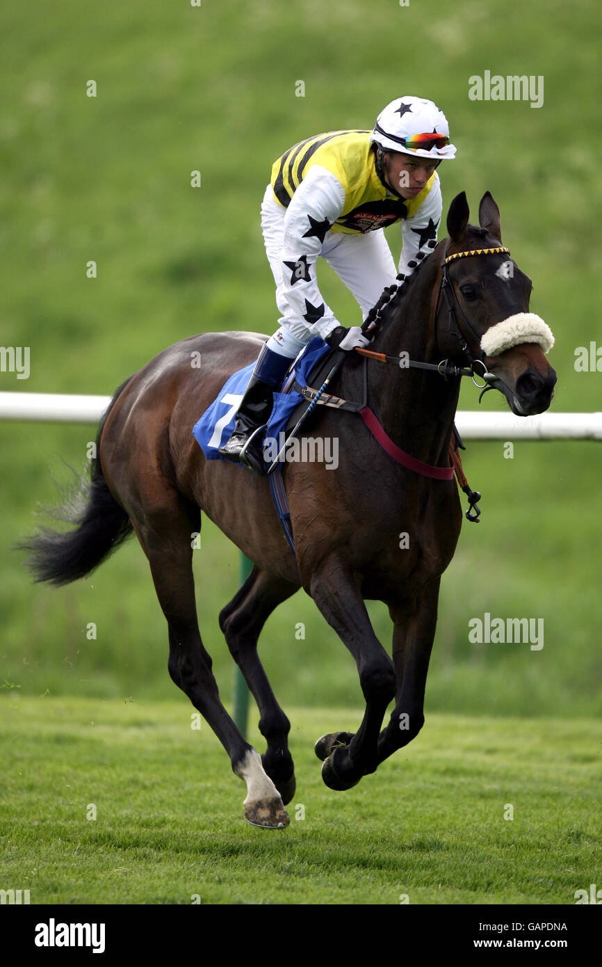 Apache the horse hi-res stock photography and images - Alamy