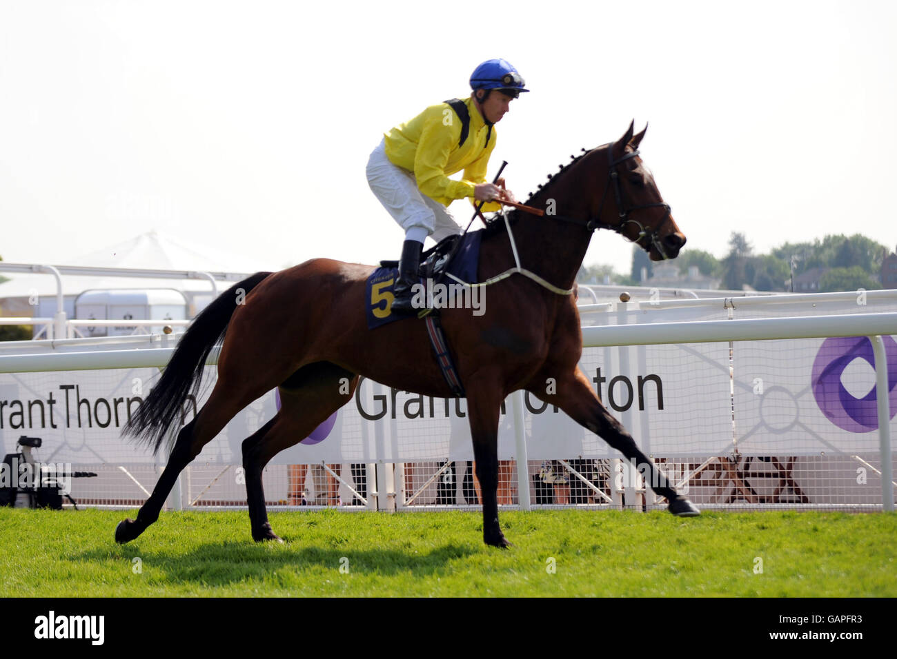 Horse Racing - totesport.com Chester Cup Day - Day Two - Chester ...