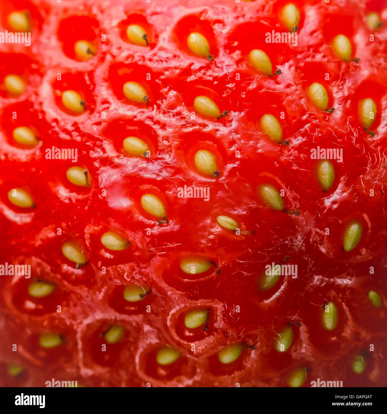 Macro of strawberry texture Stock Photo - Alamy