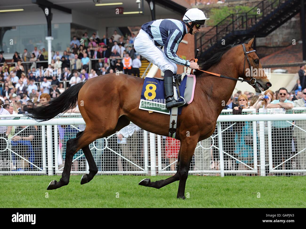 Jockey ted durcan going hi-res stock photography and images - Alamy