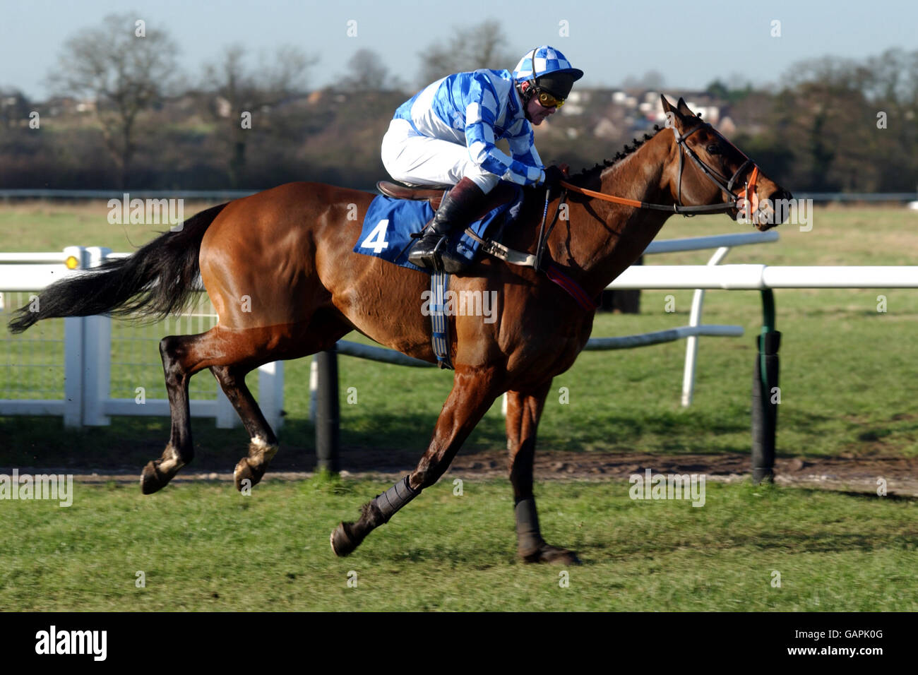Hitman horse hi-res stock photography and images - Alamy