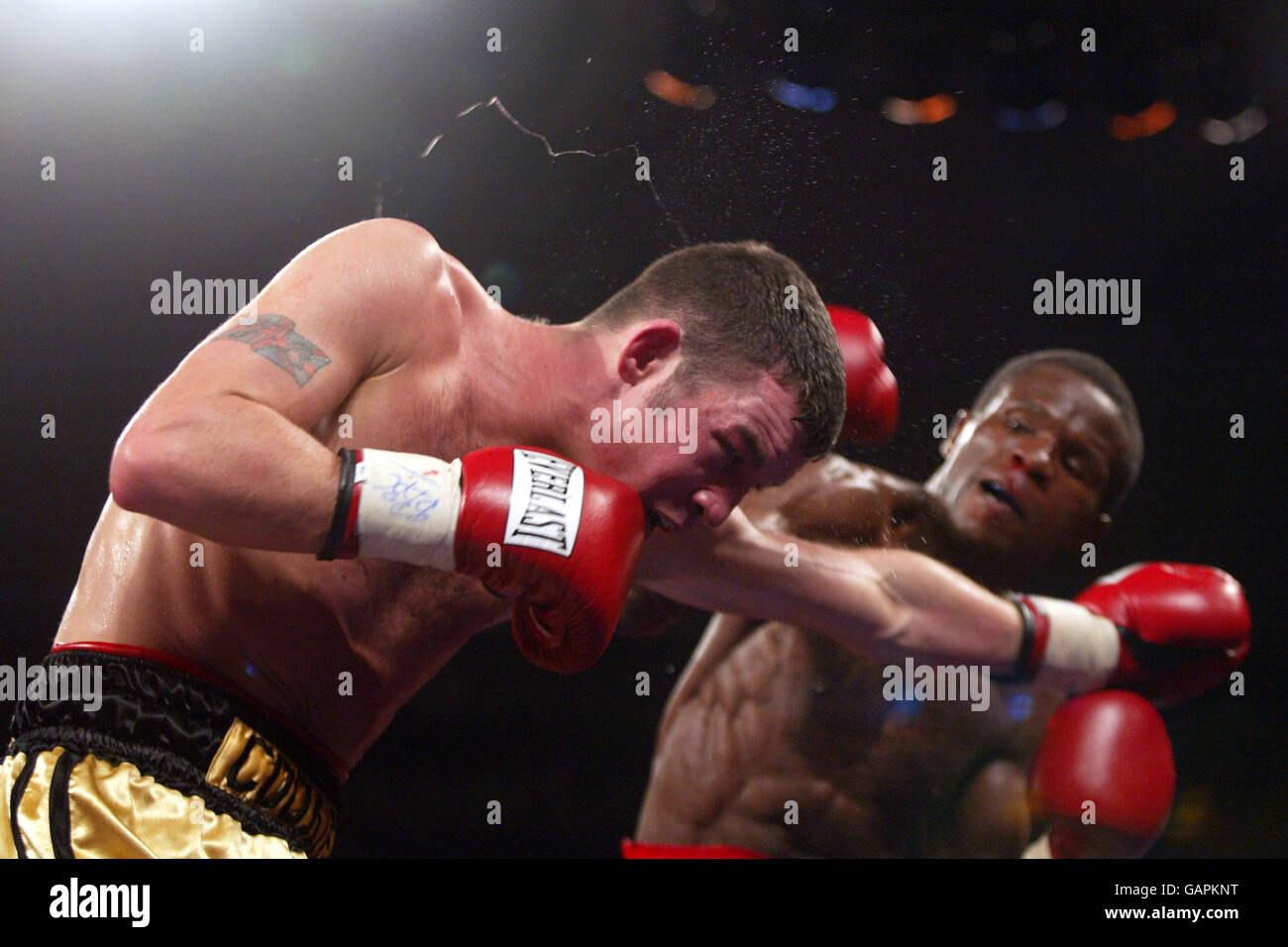 Nicky cook hi-res stock photography and images - Alamy