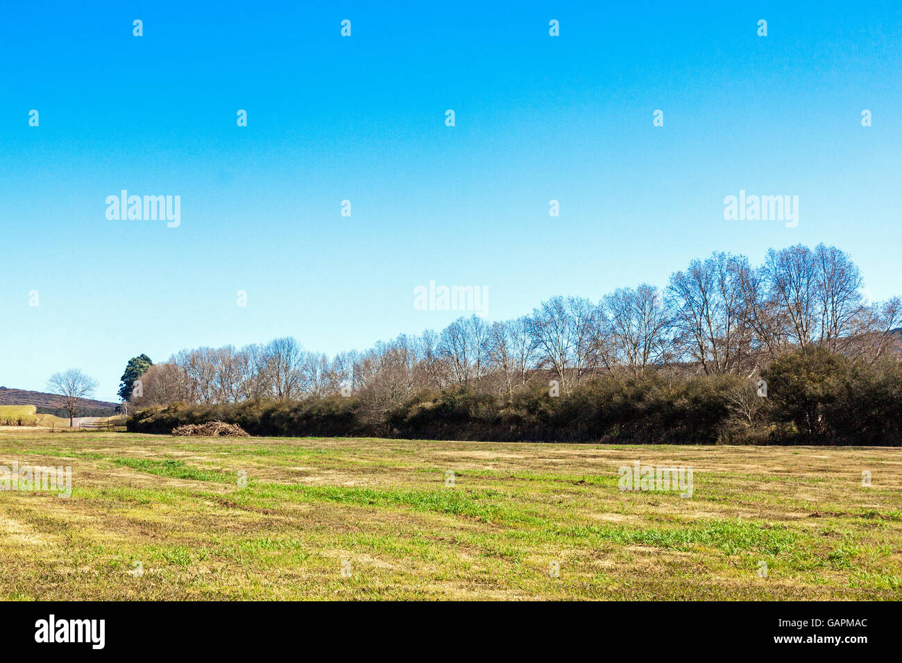 Winter rural tree lined grassland meadow and blue sky landscape Stock ...