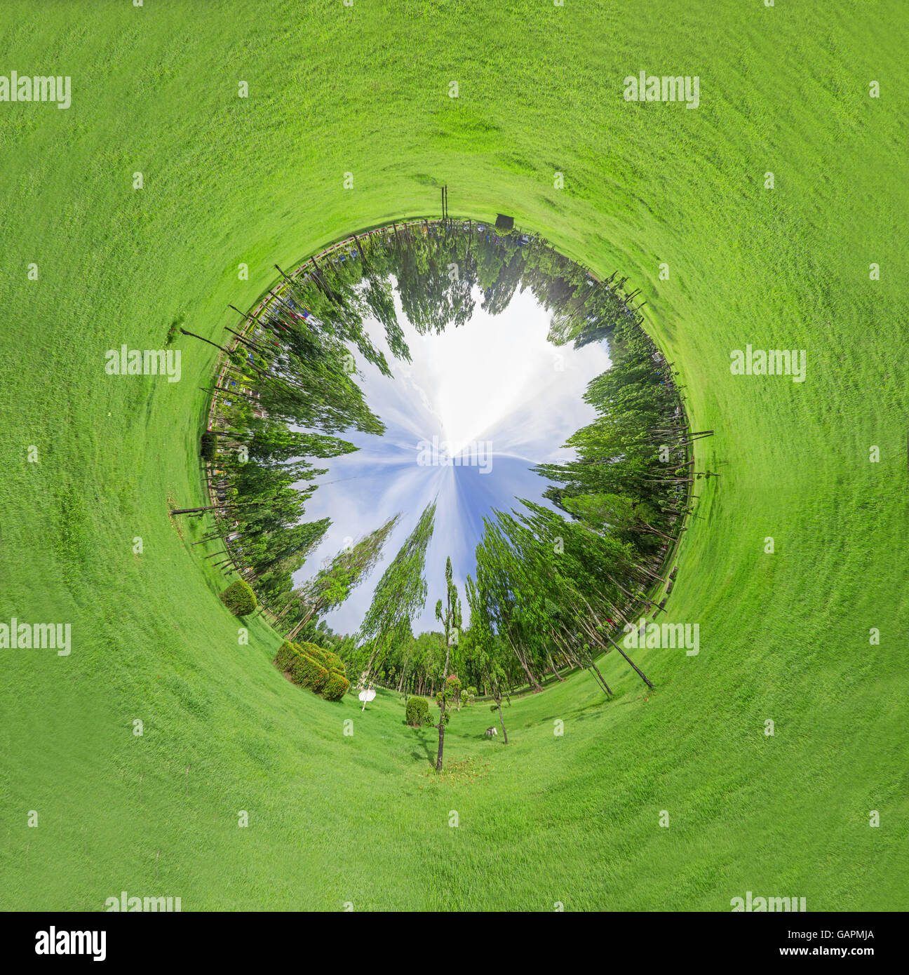 Circle forest hi-res stock photography and images - Alamy