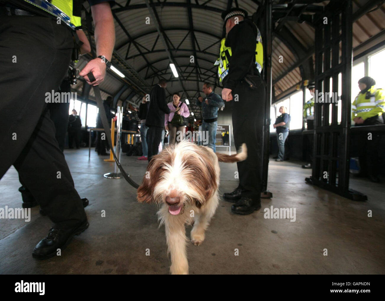 Metropolitan Police stop and search Stock Photo - Alamy