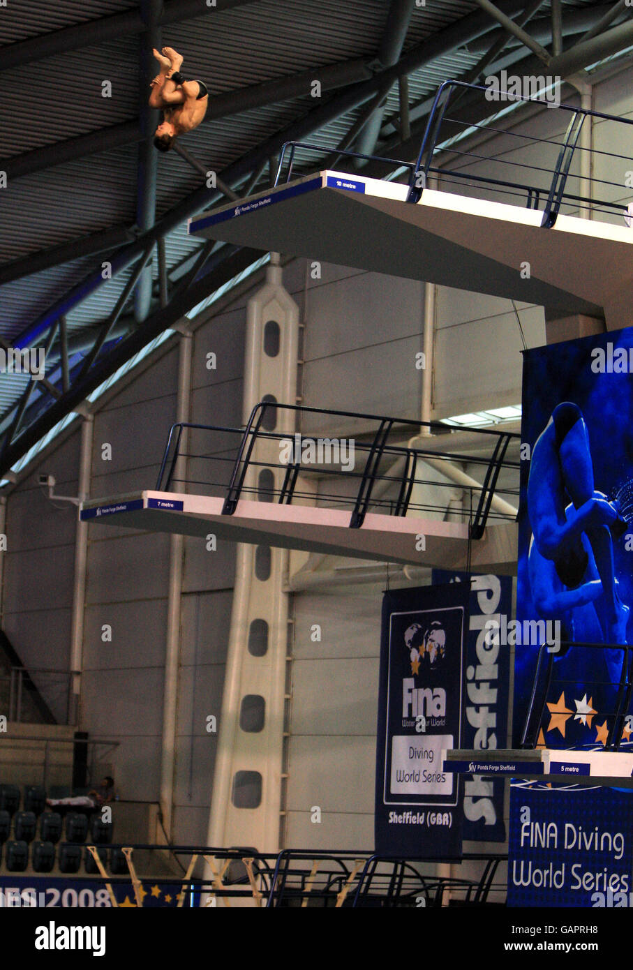 Diving - Fina Diving World Series 2008 - Day Two - Ponds Forge Stock ...