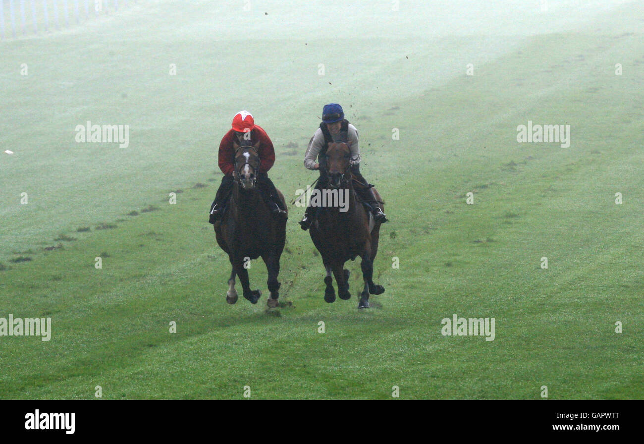 Exercise breakfast stars epsom racecourse hi-res stock photography and ...