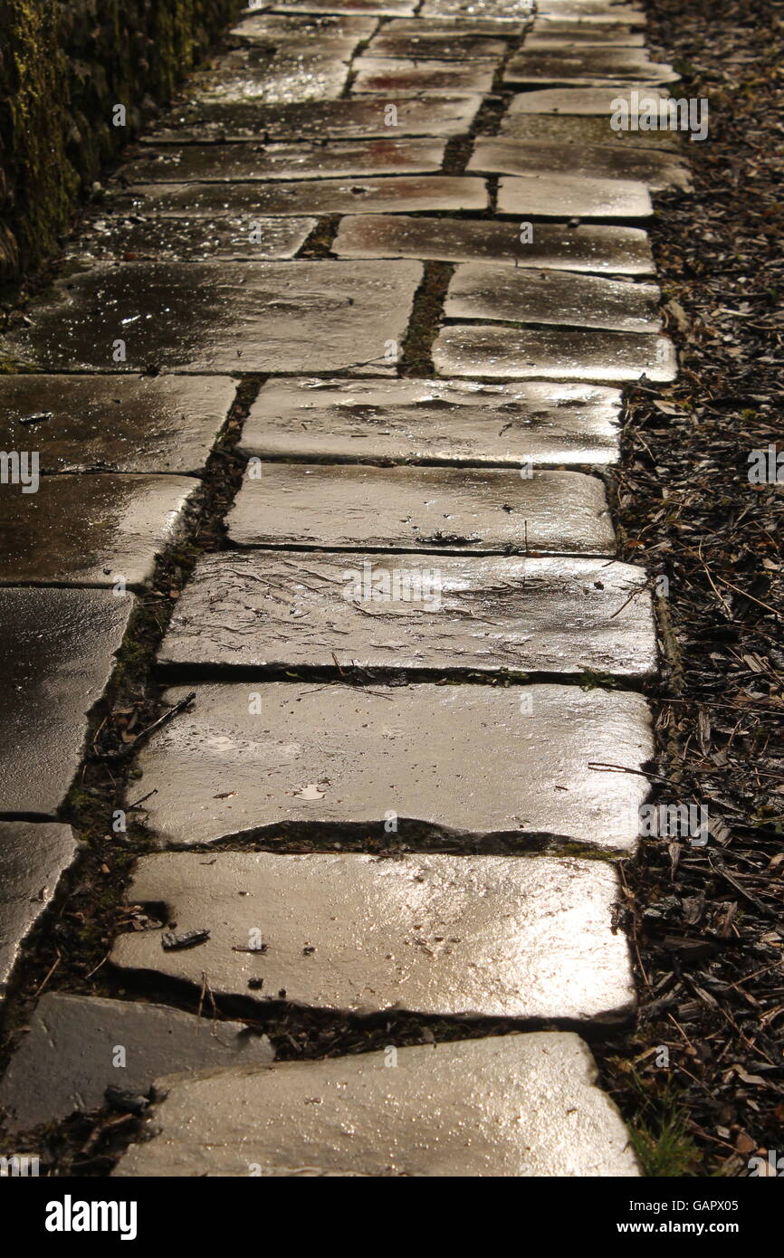 Wet path in the sun, Winchester City Mill, National Trust, Winchester ...