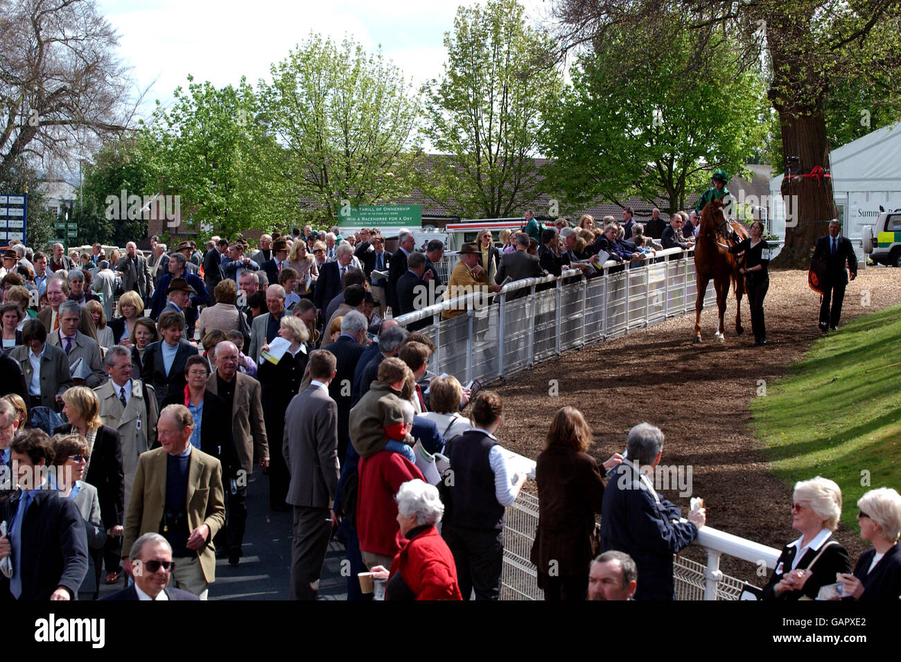 Spectators gather around parade ring hi-res stock photography and ...