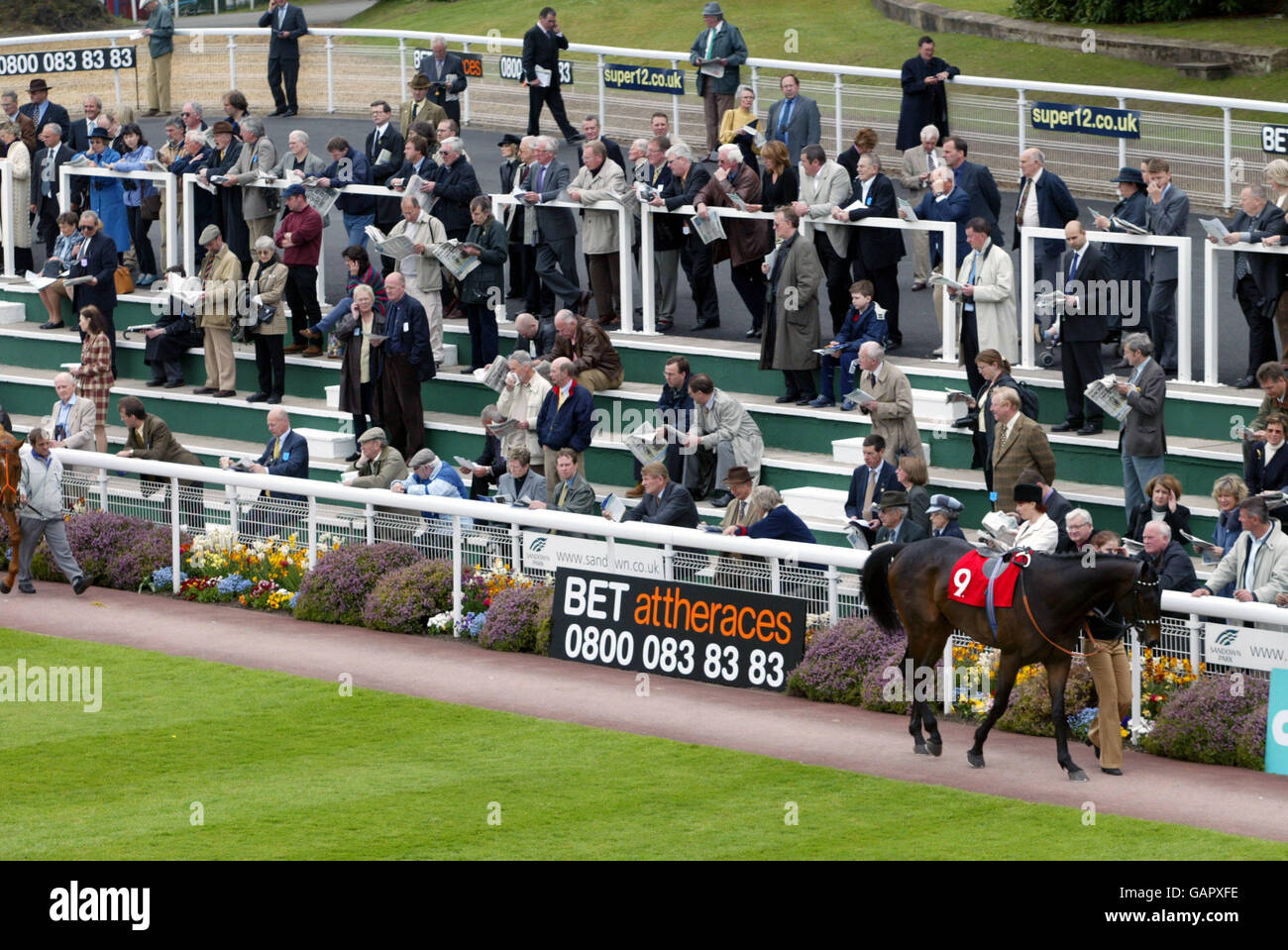 Attheraces board hi-res stock photography and images - Alamy