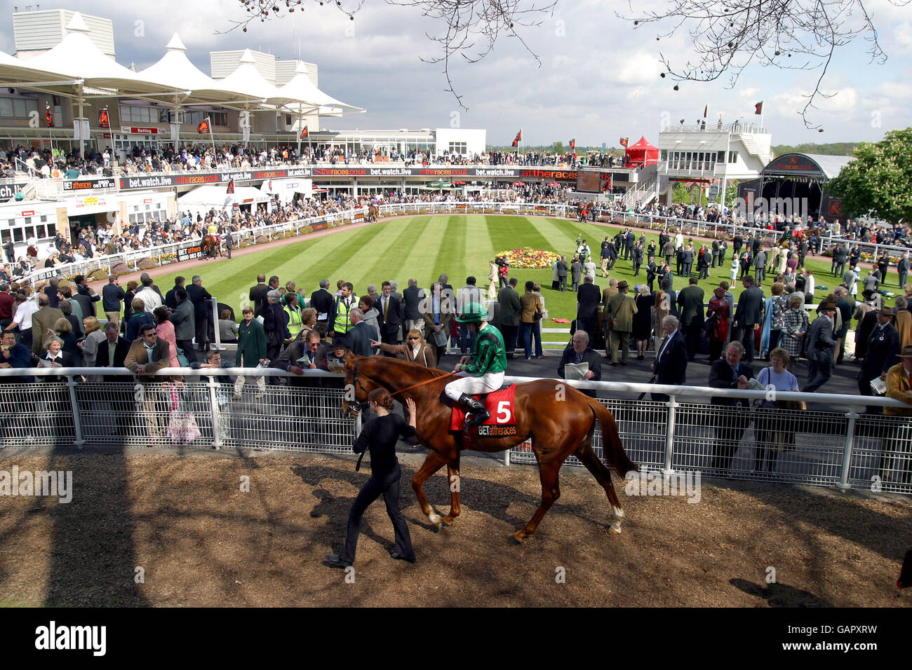 Halawellfin hi-res stock photography and images - Alamy