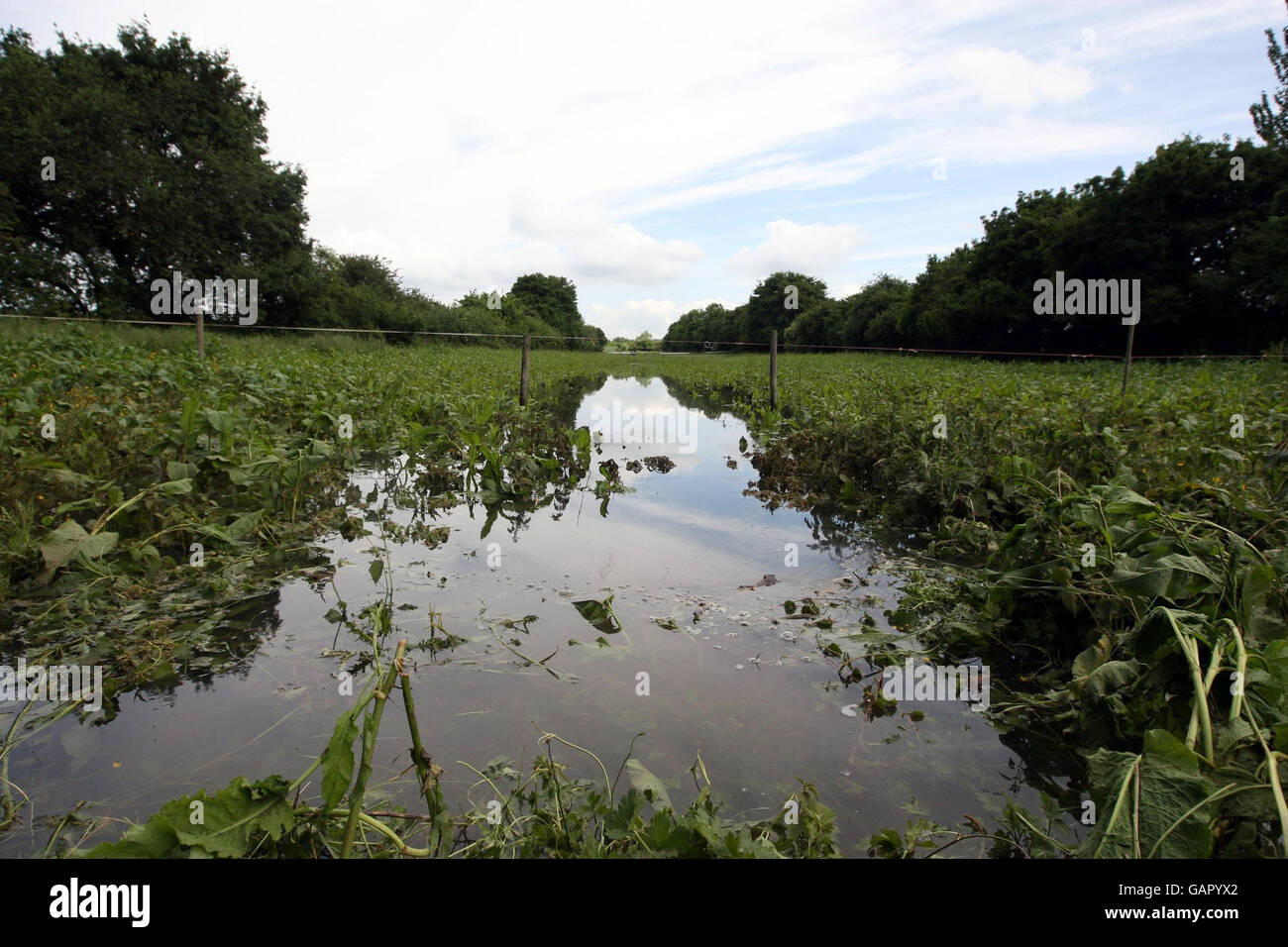 Generic view of the scene where a 17-year-old boy died after being ...
