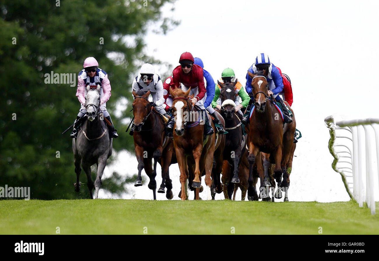 Horse Racing - Lingfield Racecourse Stock Photo - Alamy