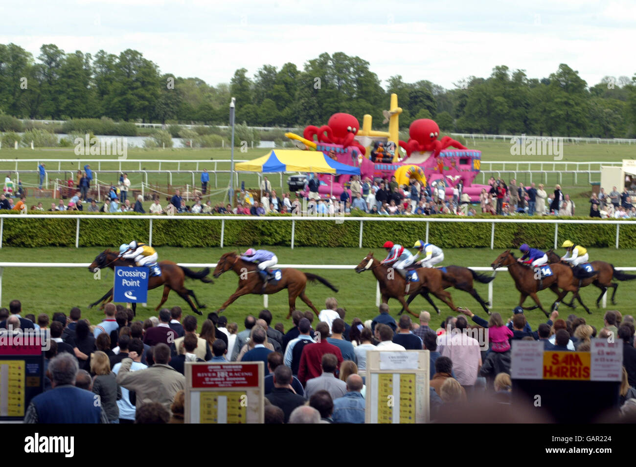 Horse Racing - Kempton Park Racecourse. General Action Stock Photo - Alamy