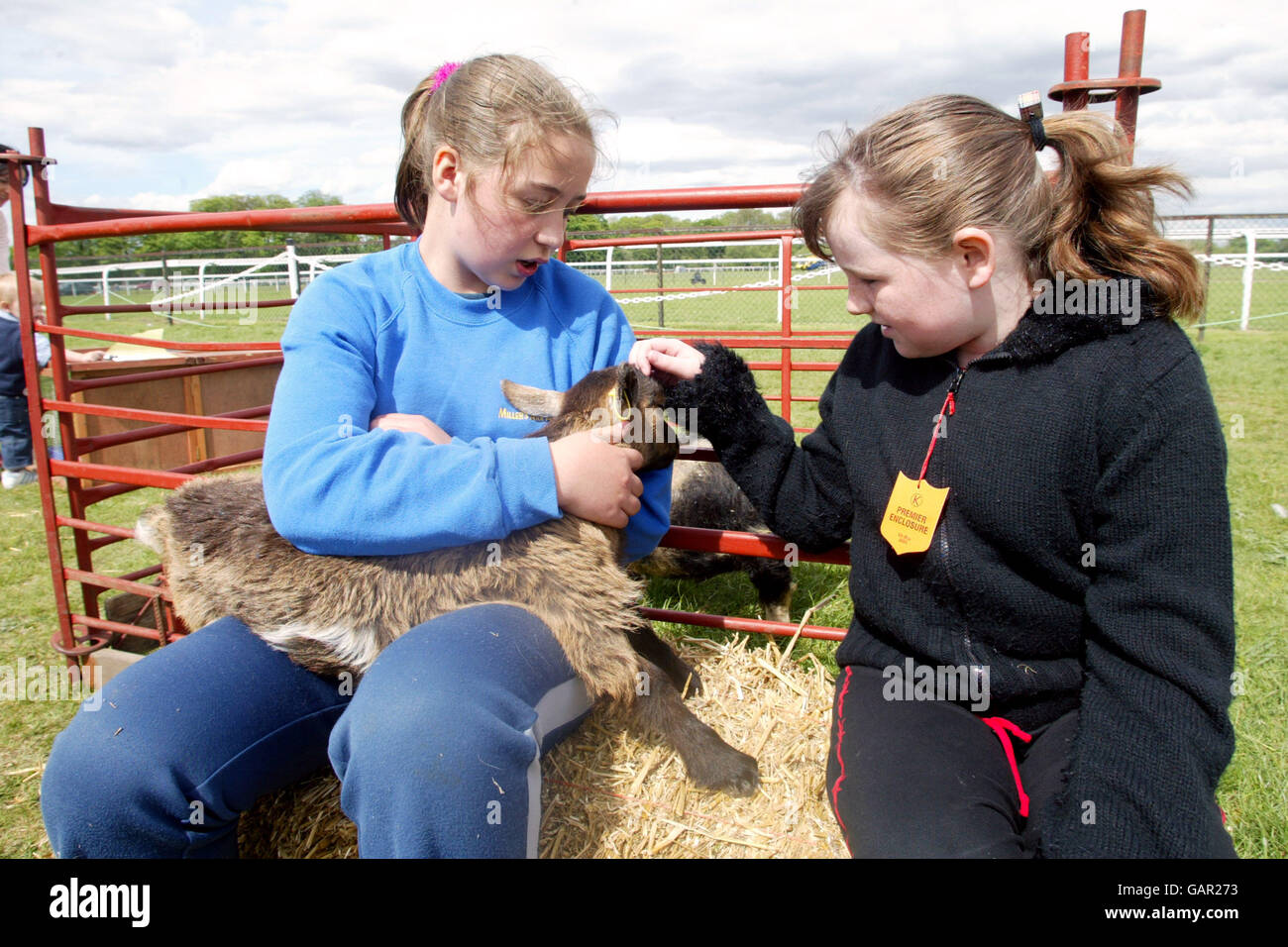 Sheep with children hi-res stock photography and images - Alamy