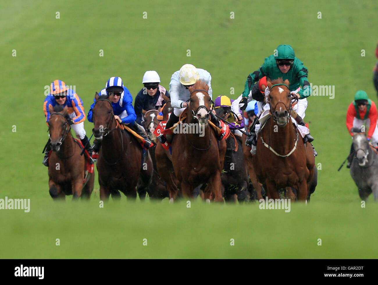 New approach horse hi-res stock photography and images - Alamy