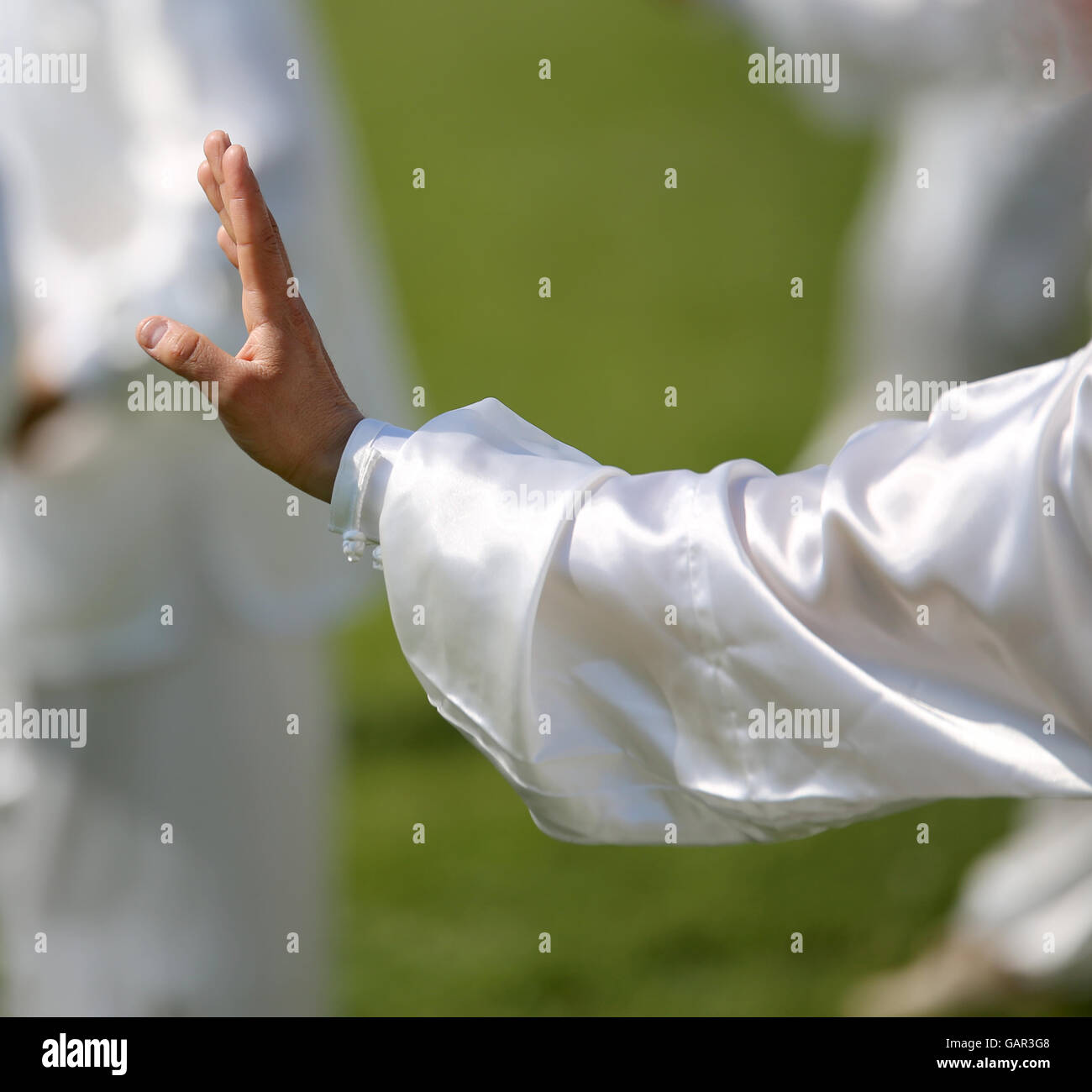 hand of martial arts master Tai Chi during the exhibition in park with ...