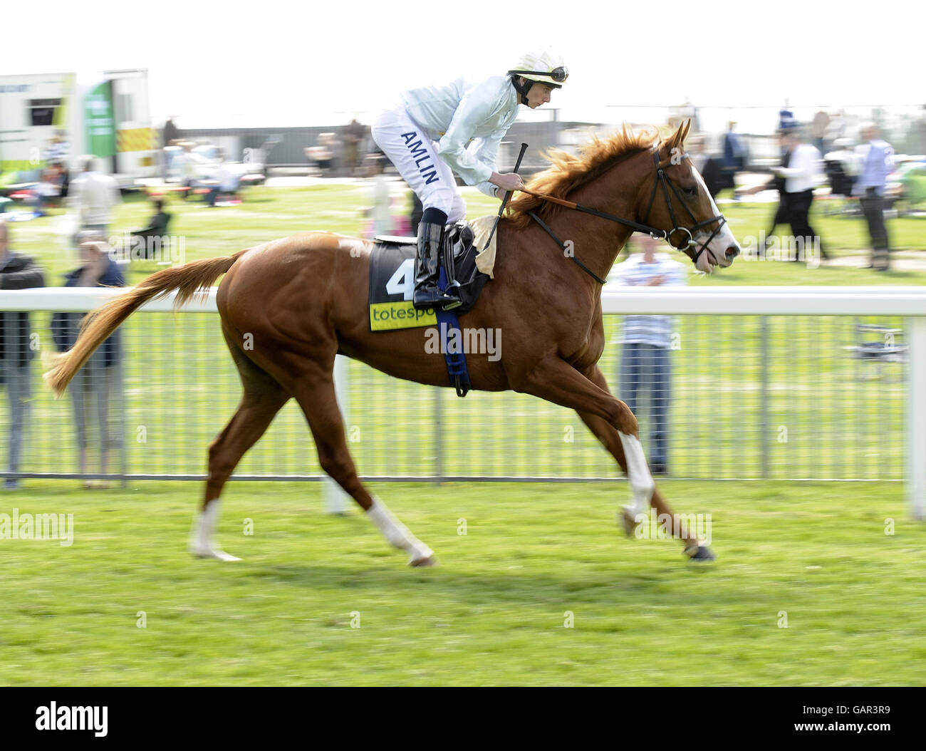 Horse Racing - 2008 May Festival - totesport Dante Day - York ...