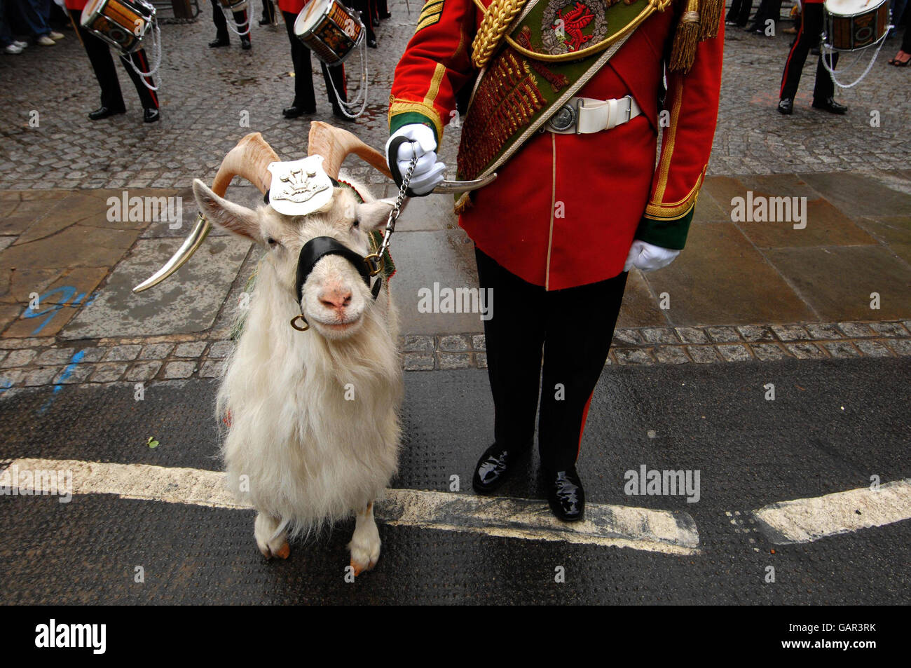 The territorial army mascot hi-res stock photography and images - Alamy