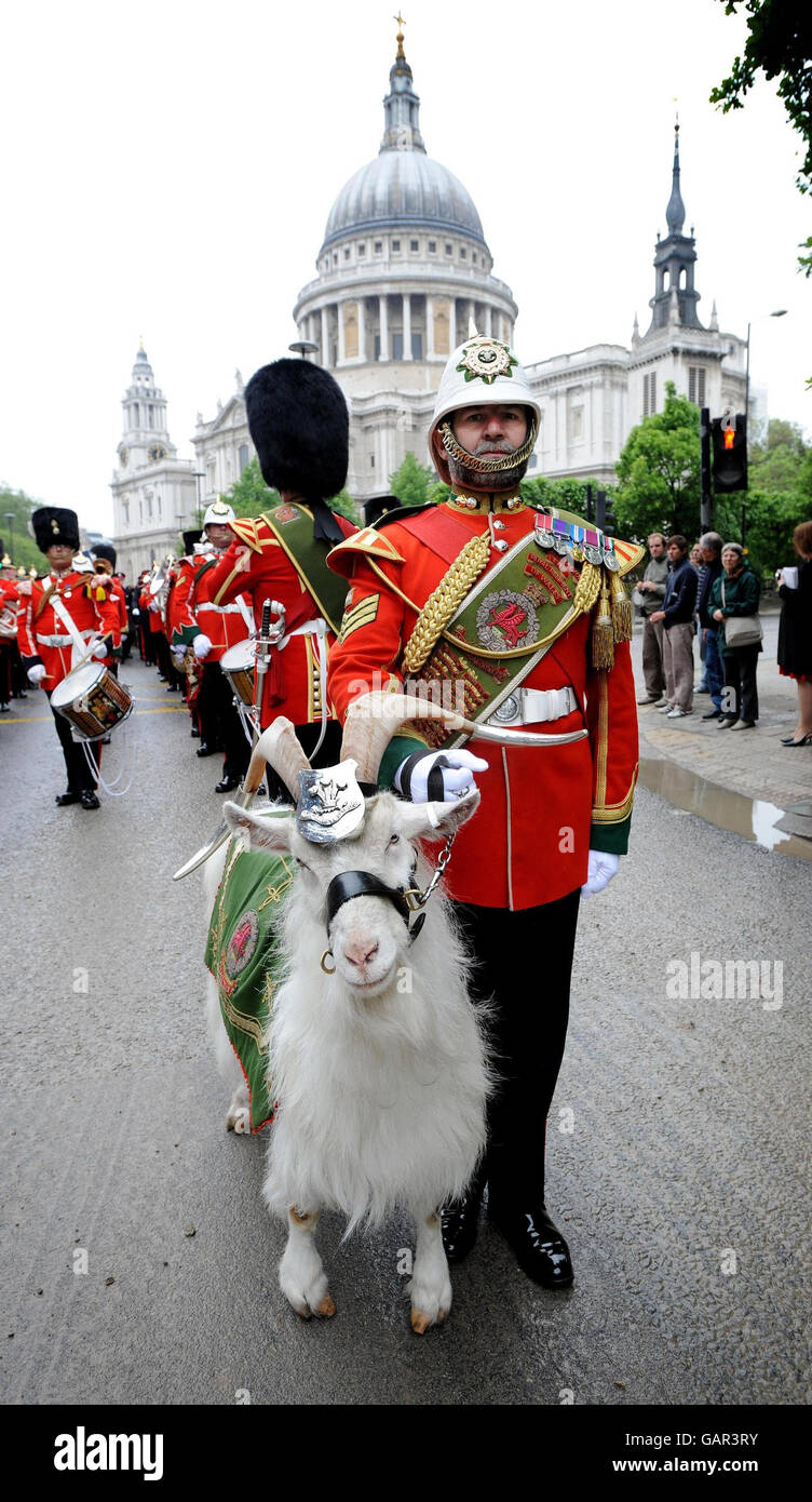 The territorial army mascot hi-res stock photography and images - Alamy