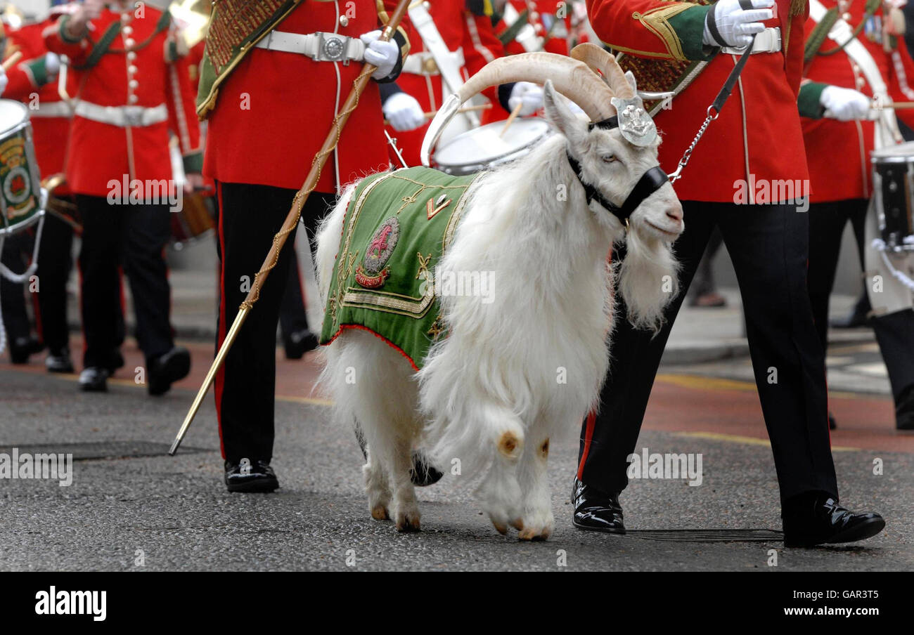 The territorial army mascot hi-res stock photography and images - Alamy