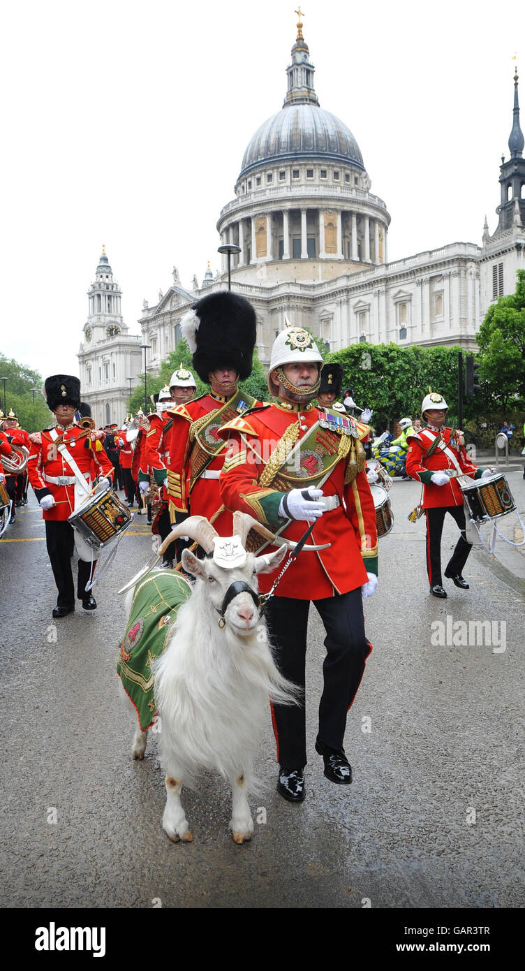 Shenkin, a billy goat from the Queen's herd and the mascot of the ...