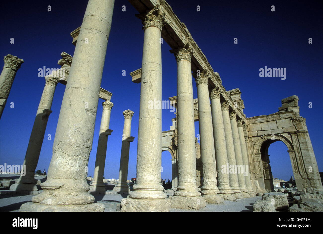 the Roman Ruins of Palmyra in Palmyra in the east of Syria Stock Photo ...