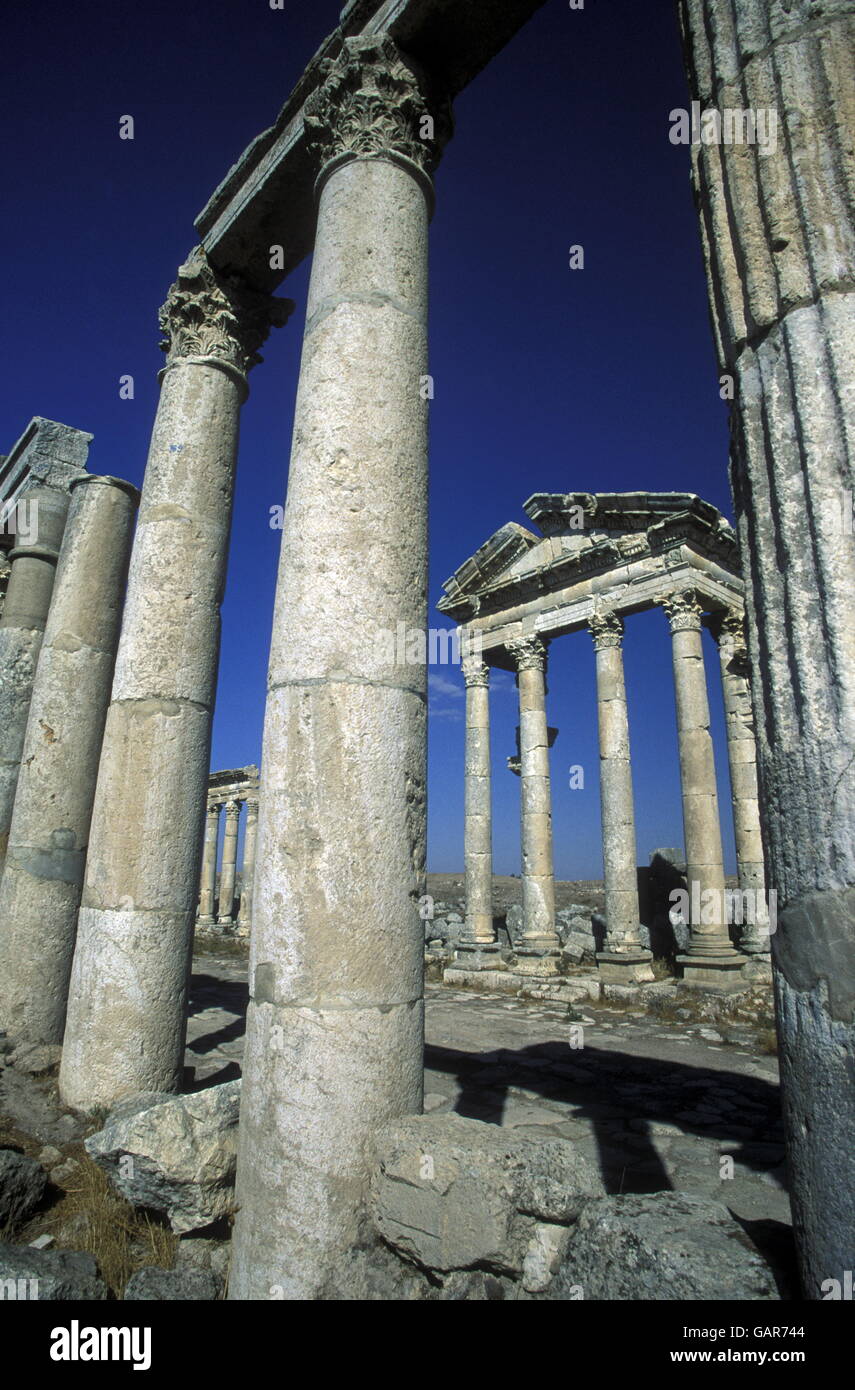 the Roman Ruins of Palmyra in Palmyra in the east of Syria Stock Photo ...