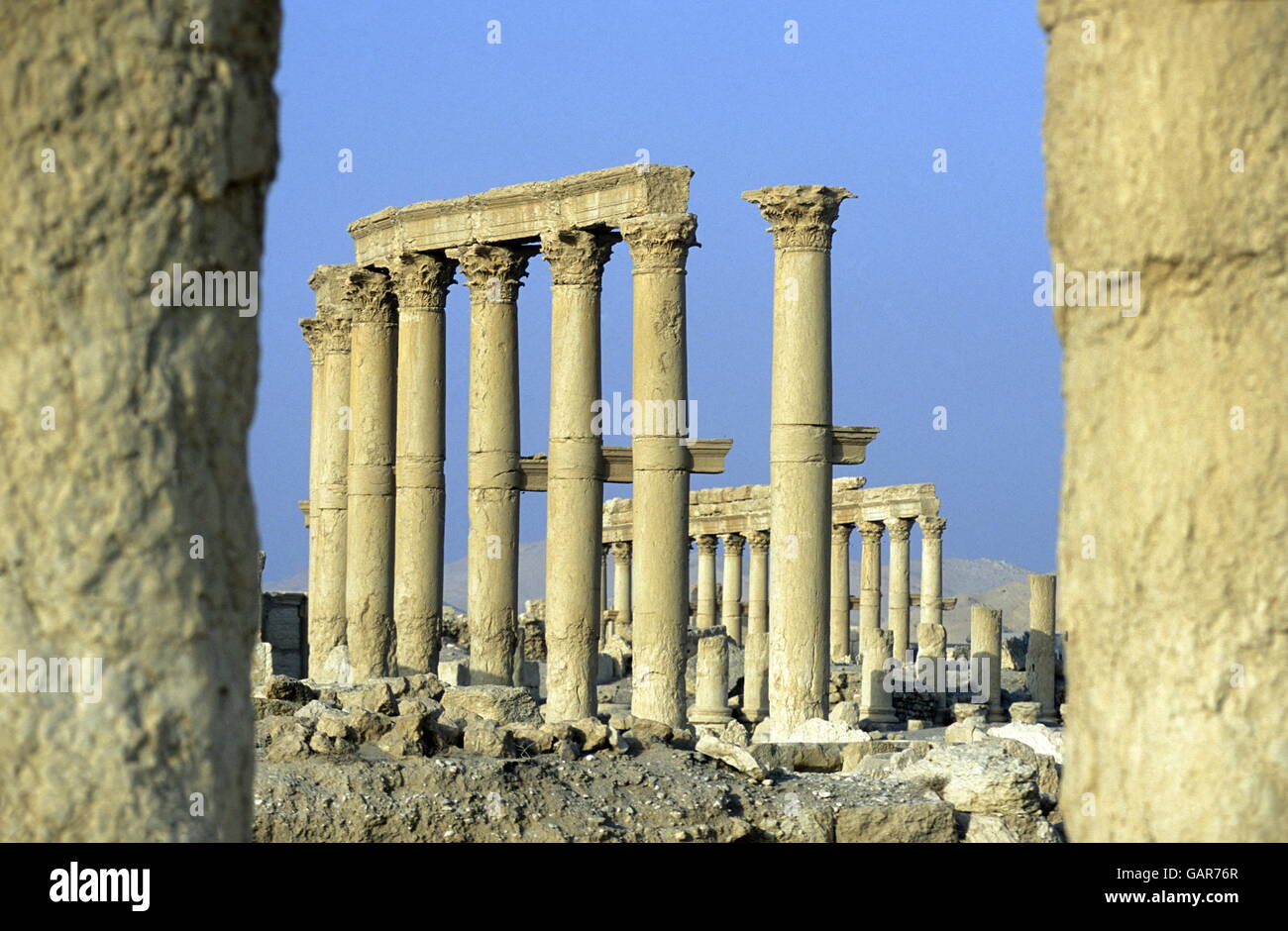 the Roman Ruins of Palmyra in Palmyra in the east of Syria Stock Photo ...