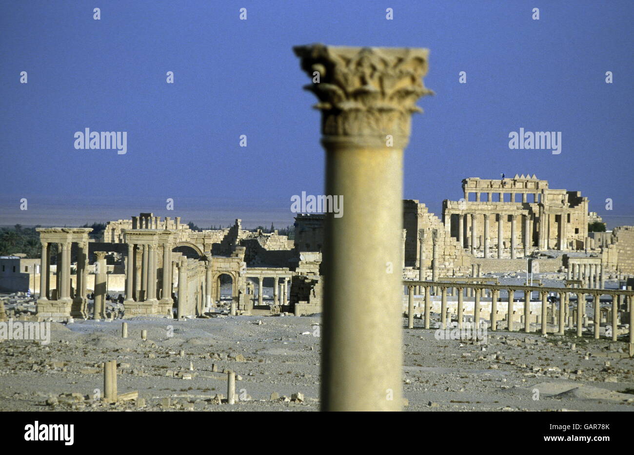 the Roman Ruins of Palmyra in Palmyra in the east of Syria Stock Photo ...