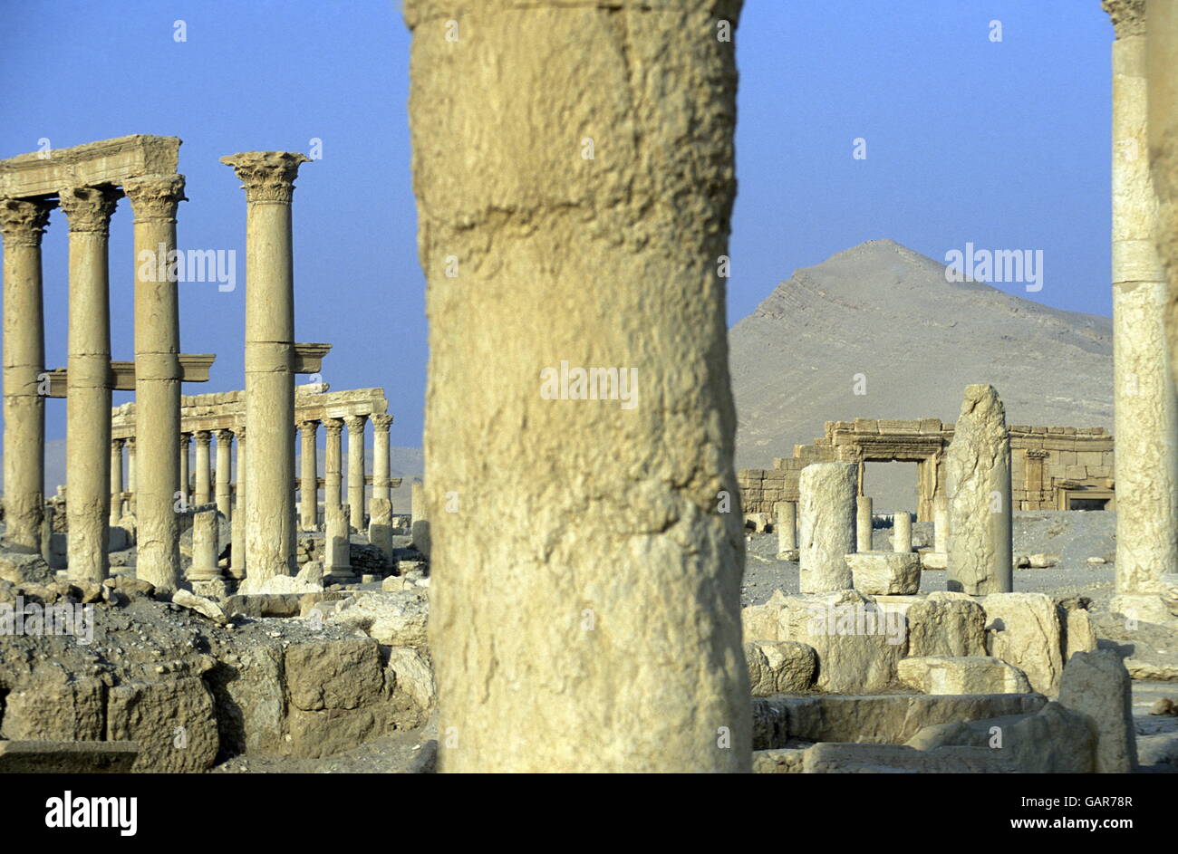 the Roman Ruins of Palmyra in Palmyra in the east of Syria Stock Photo ...