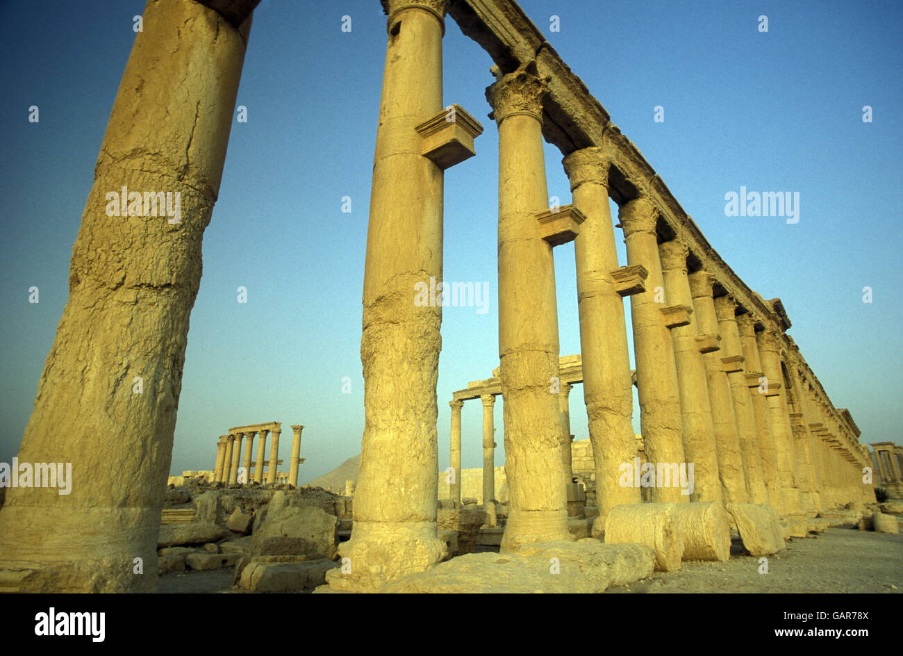 the Roman Ruins of Palmyra in Palmyra in the east of Syria Stock Photo ...
