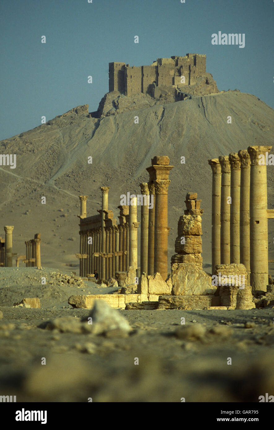 the Roman Ruins of Palmyra in Palmyra in the east of Syria Stock Photo ...
