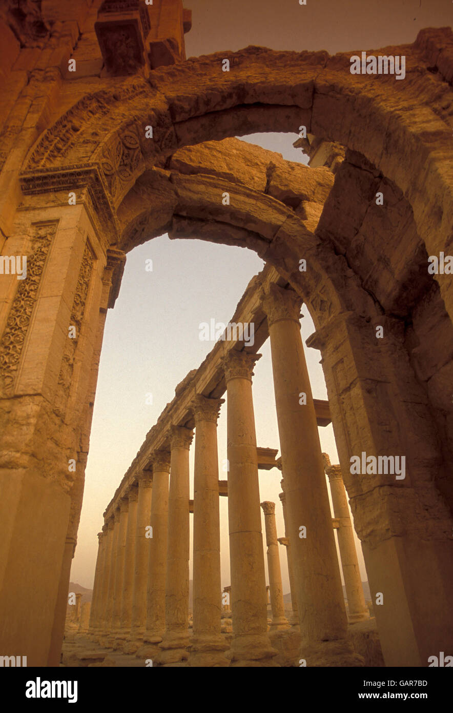 the Roman Ruins of Palmyra in Palmyra in the east of Syria Stock Photo ...