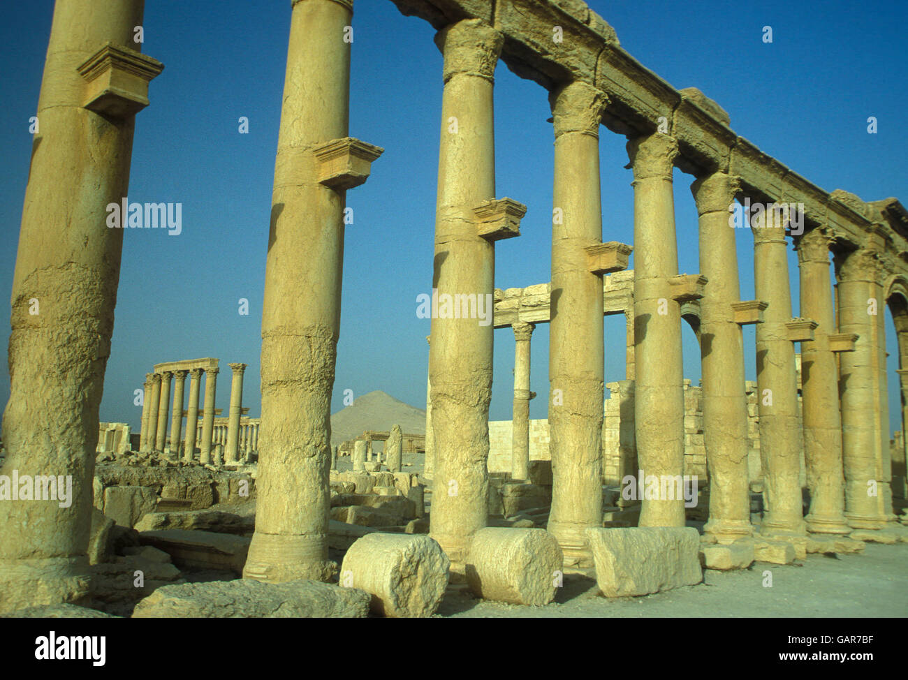the Roman Ruins of Palmyra in Palmyra in the east of Syria Stock Photo ...