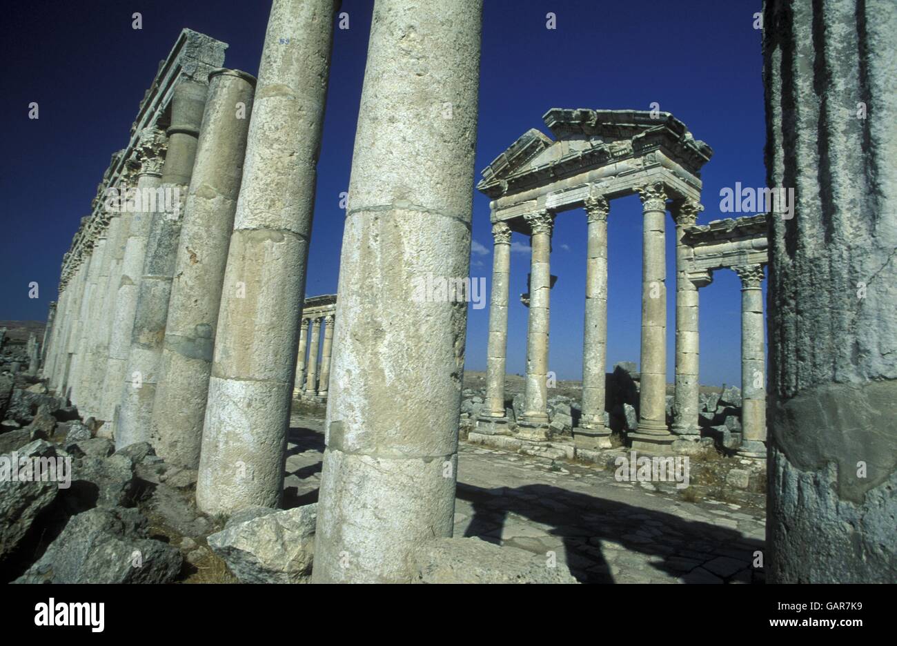 the Roman Ruins of Palmyra in Palmyra in the east of Syria Stock Photo ...