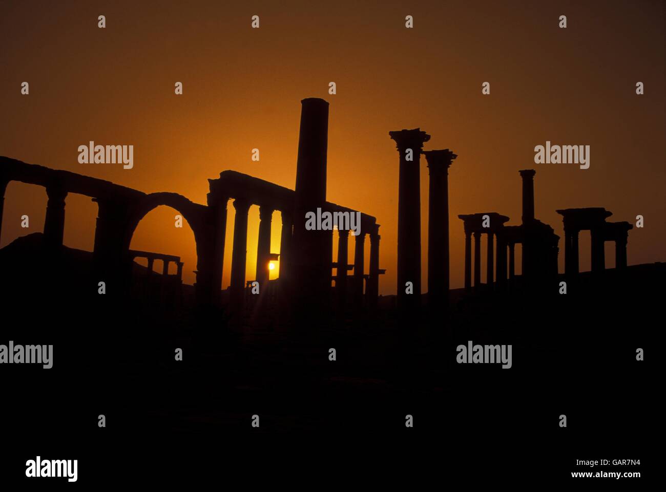 the Roman Ruins of Palmyra in Palmyra in the east of Syria Stock Photo ...